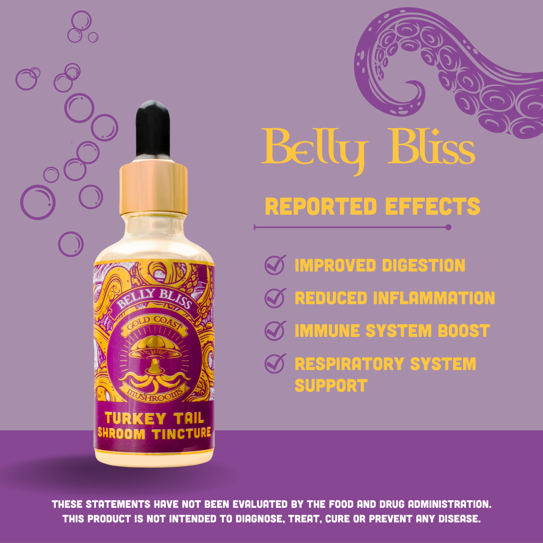 Belly Bliss - Turkey Tail Mushroom Dual-Extracted Tincture - 50ml ...